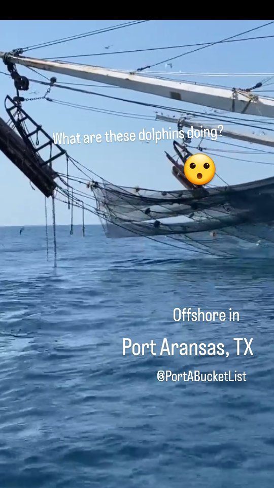 Contact - Port Aransas Bucket List